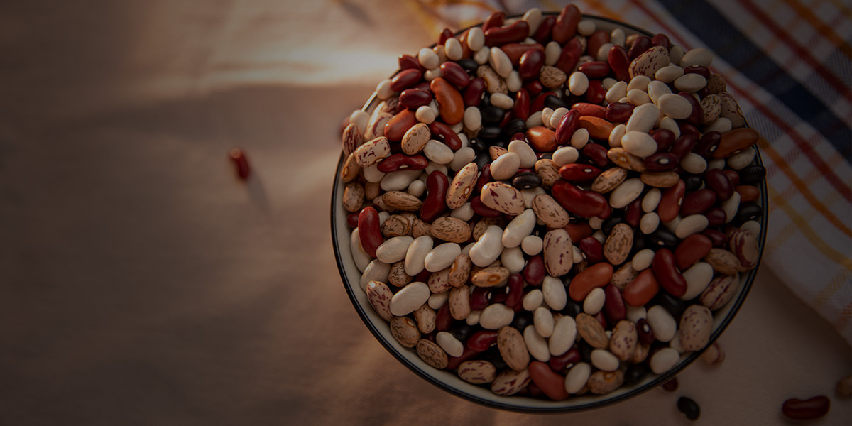 Beans from the Latin Quarter - Michigan Beans