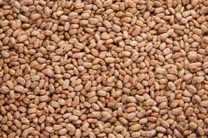 Bean Varieties Archive - Michigan Beans