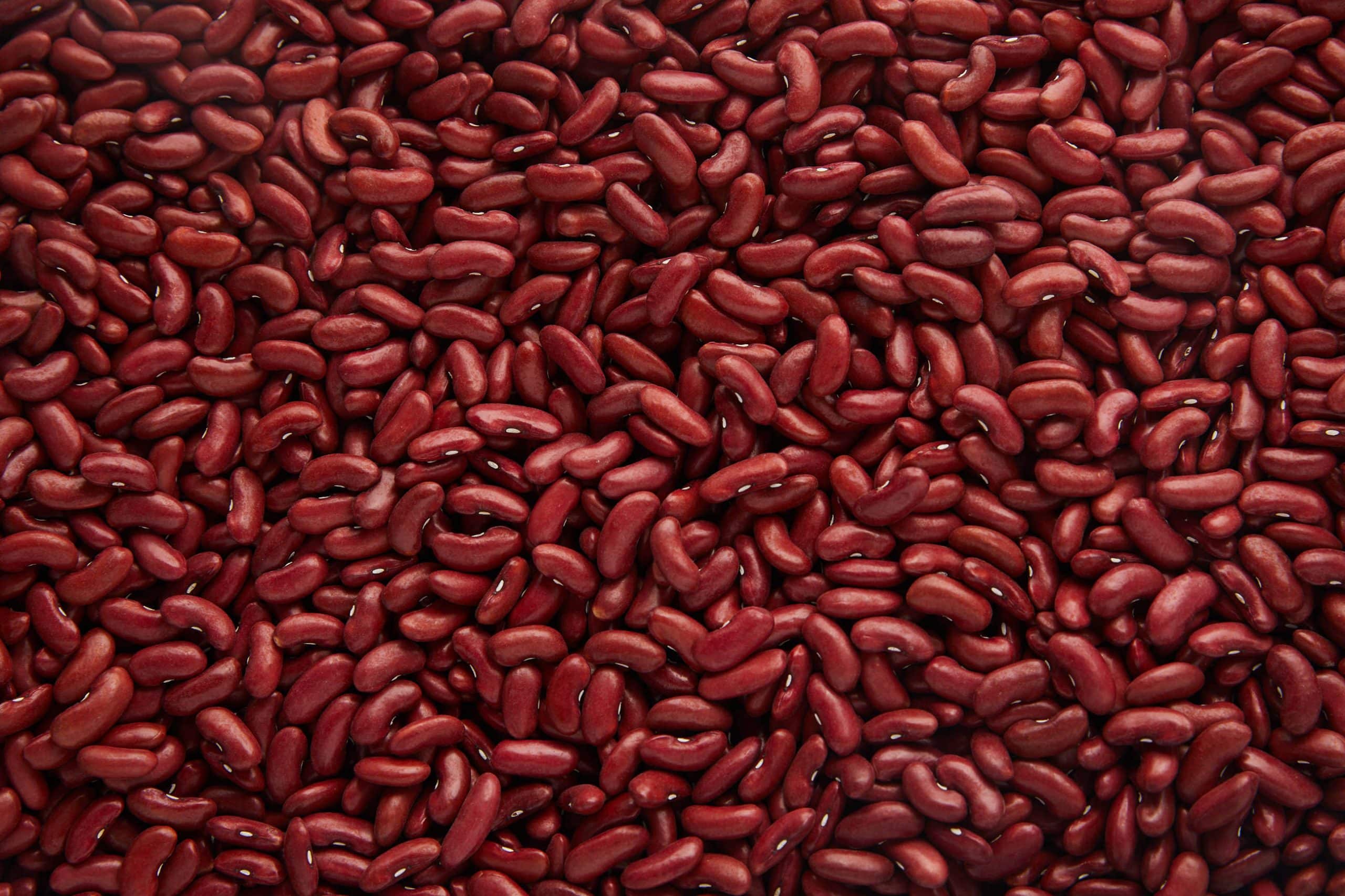 Michigan Dark Red Kidney Beans - Michigan Beans