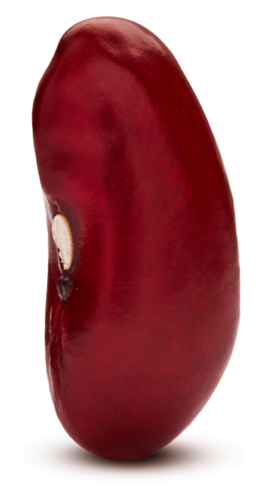Michigan Dark Red Kidney Beans - Michigan Beans