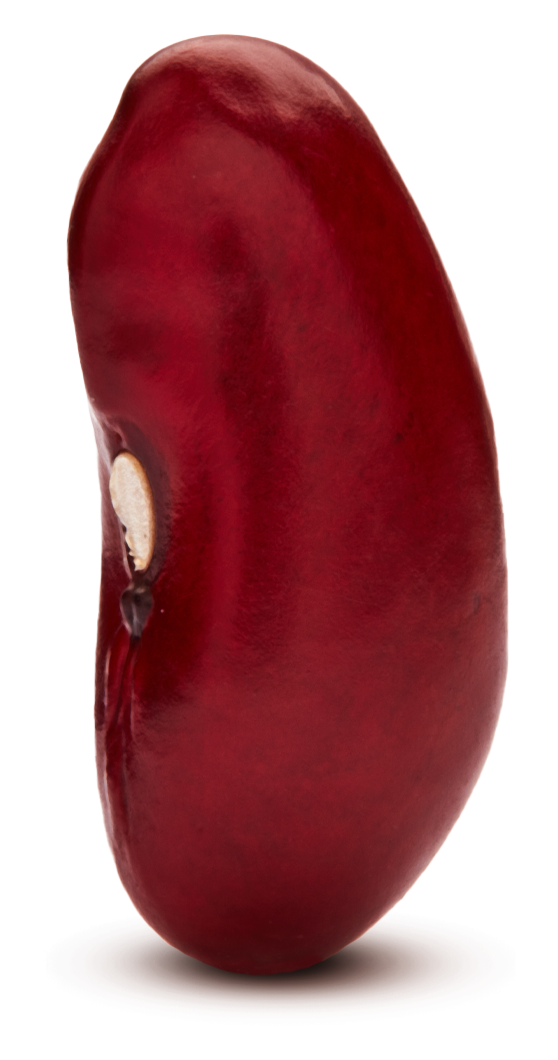 Michigan Dark Red Kidney Beans - Michigan Beans